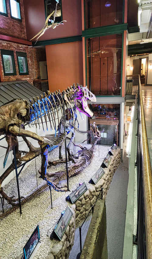 The Museum of World Treasures in Wichita Kansas an Amazing Venue